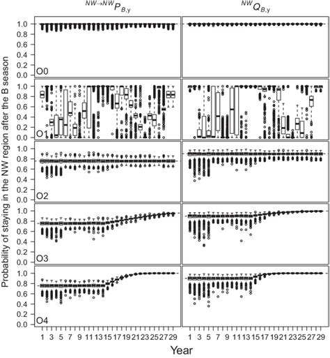 Movement NWNW P B And Ontogenetic NW Q B Time Dependent