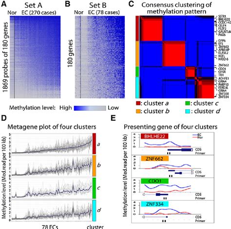 Figure 2 From Integrated Epigenomics Analysis Reveals A Dna Methylation