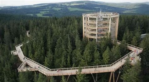 Victoria County Officials Take Trip To Explore Potential Tree Walk Designs The Hawk