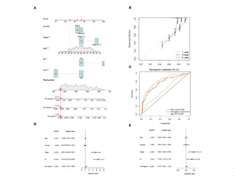 Construction And Verification Of Predictive Nomogram A The Nomogram