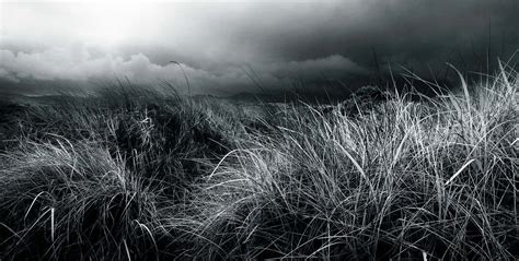 Download Black And White Nature Landscape Wallpaper