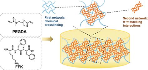 Fabrication And Characterization Of ππ Stacking Peptide Contained Double Network Hydrogels