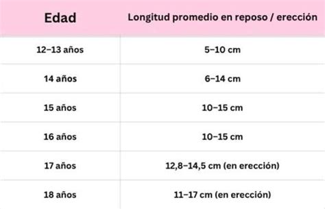 El Pene Formas Tamaños Y Desvelando Los Mitos Comunes