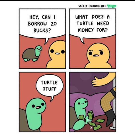 Turtle Stuff R Yesyesyesno