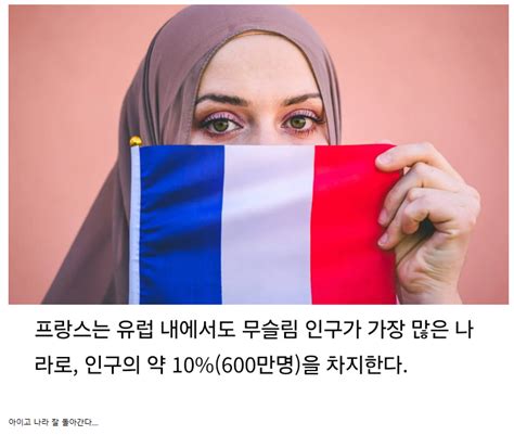 점점 커지는 프랑스 인종차별 사건 연예이슈 수다방 네모판