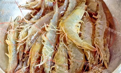 虾头里是“屎”还是“黄”，能不能吃？很多人不懂，看完涨知识了大虾食用白菜