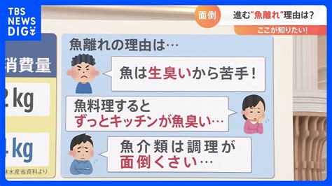 「生臭い」「調理が大変」日本で進む“魚離れ” 誰でも簡単“ギリギリ魚料理”を紹介！｜tbs News Dig Youtube