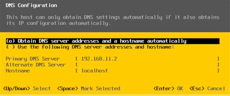 Setting The IP In VMware ESXi Documentation FAQ