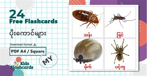Burmese Alphabet Flash Cards 1300 Burmese Flashcards Free Pdf