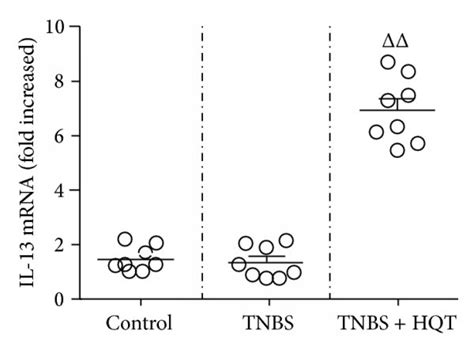 Hqt Regulates Mrna Expression Of Th1 Th2 Th17 And Treg Related Download Scientific