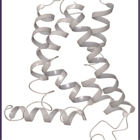 Homology Modelled 3d Structure Of Human Sigma Intracellular Receptor 2