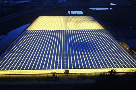 Planti Project Fimedglass Flower Glazing Agriculture Packaging Shipping Growth