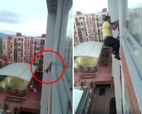 HÉroe Urbano Hombre Arriesga Su Vida Para Salvar A Una Perrita