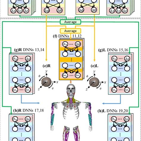 Sensorimotor System Architecture Showing The Modular Neural Network