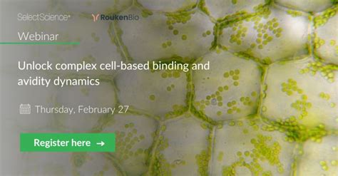 Roukenbio On Linkedin Scic Cro Drugdevelopment