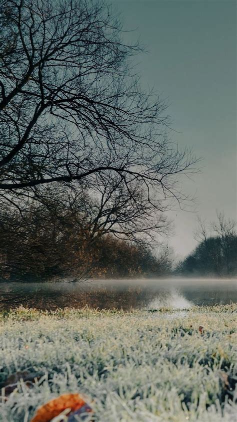 Wallpaper Lake Trees Forest Grass Frost Nature Nature 4k By