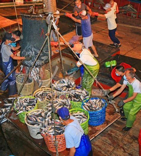浙江玉环渔船进港鱼满仓 人民图片网