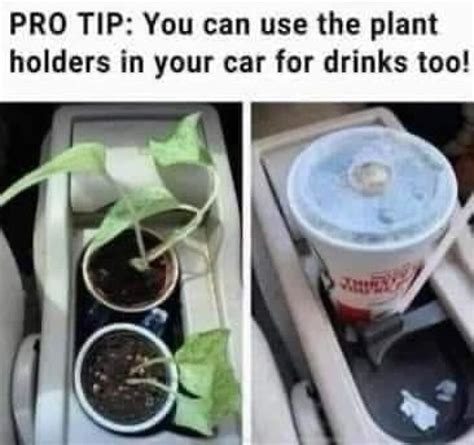 39 Hilariously Relatable Memes For People Who Love Their Plants Just A