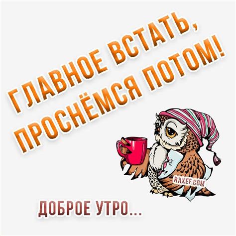 Самые красивые открытки и пожелания с добрым утром Открытка с совой и