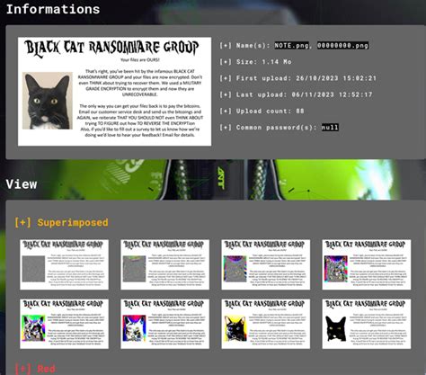 blackcat malware easy not really huntress ctf writeup john velo
