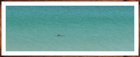 P1030663 David Belshaw Flickr