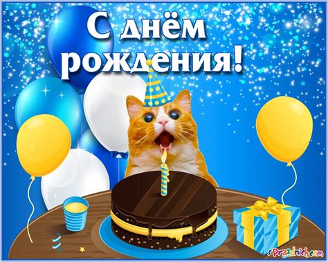 Картинки Кот С Днем Рождения Мужчине — Mixyfotos.ru