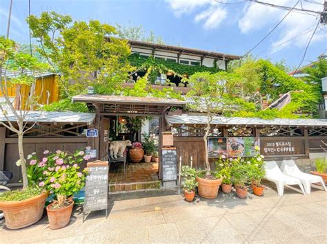 포항 일본가옥거리 빙수 맛집 카페 까멜리아 인 구룡포 애견동반 동백꽃필무렵 촬영지 네이버 블로그