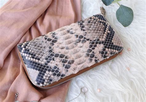 Python Skin Texture Stock Image Image Of Abstract Pattern 9325417