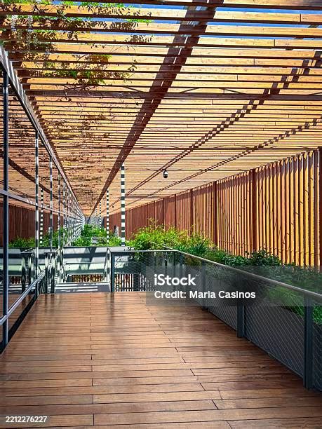태양으로부터 보호하기 위해 나무 칸막이와 초목으로 이루어진 구조로 된 도시 복도 0명에 대한 스톡 사진 및 기타 이미지 0명 개념 거리 Istock