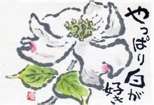 絵手紙 はなみずき