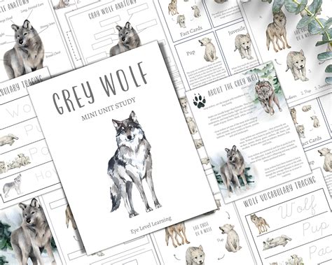 Wolf Mini Unit Study Life Cycle Anatomy Nature Study Science