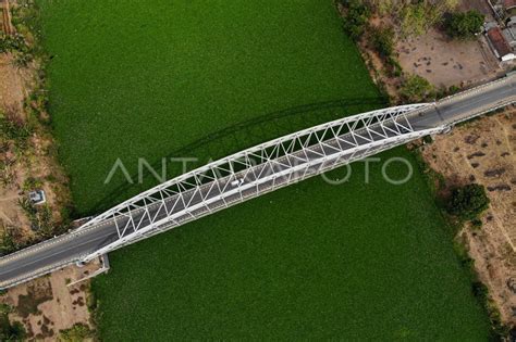 Sungai Bengawan Solo Dipenuhi Enceng Gondok Antara Foto