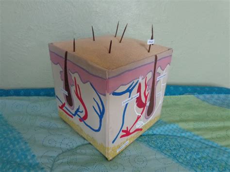 A Cardboard Box With Pins Sticking Out Of It