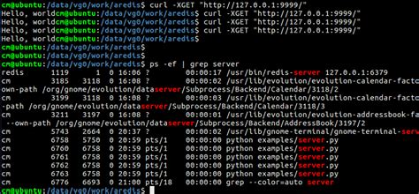 Couldn T Run Aredis With Tornado Multi Process Patterns Issue