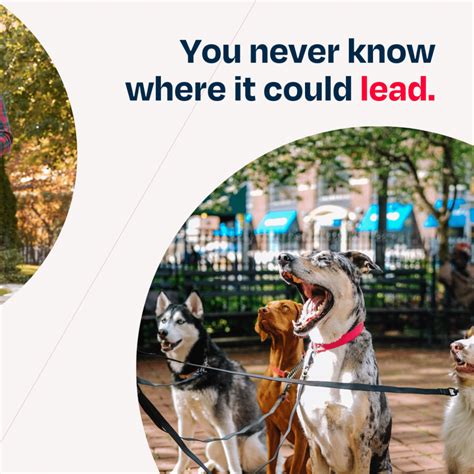 Toolkit Serve Virginia