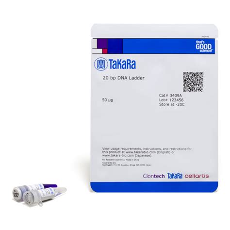 Dna Molecular Weight Markers