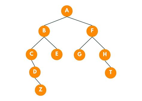 Common Ancestor Binary Tree