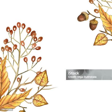 말린 꽃 가막살 나무 열매 단풍 마른 나뭇 가지 모든 물체의 엽서는 수채화로 손으로 그려집니다 수채화 그림입니다 종이 엽서 초대장에 인쇄하기 위해 가을에 대한 스톡 벡터