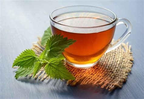 6 Ways Spearmint Tea Helps Heal Hormonal Acne Goodglow