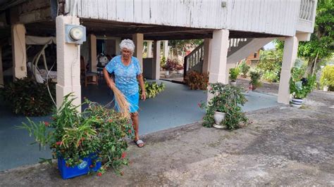 Grasshoppers Hatching In Barrackpore Kazim Organises Spray Teams Cnc3