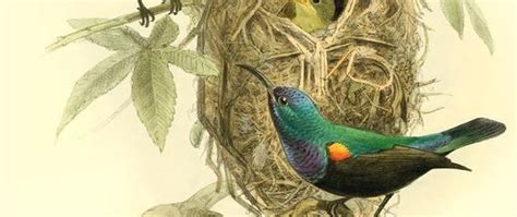 React Router Dom Nested Routes Dev Community