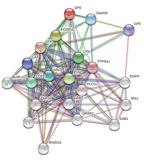 Glycoprotein Vi Gp6 Protein Overview Sino Biological