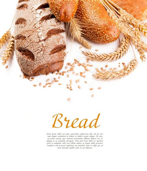 텍스트를 위한 공간이 있는 다양한 유형의 빵 사진 배경 및 무료 다운로드를위한 그림 Pngtree