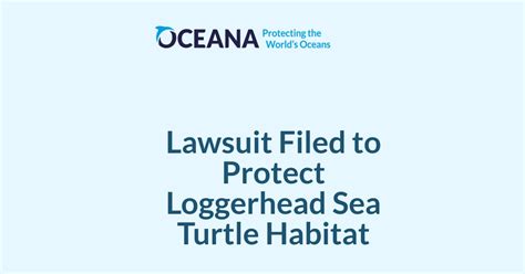 Lawsuit Filed To Protect Loggerhead Sea Turtle Habitat Oceana