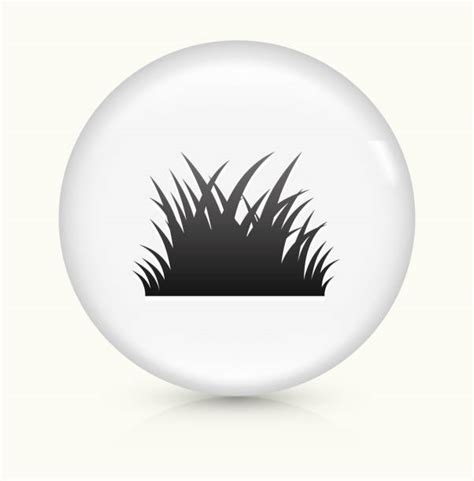 Overgrown Lawn Illustrations Royalty Free Vector Graphics And Clip Art