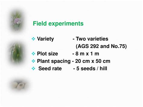 Ppt Physiological Maturity And Effect Of Seed Priming On Germination Ability Of Vegetable
