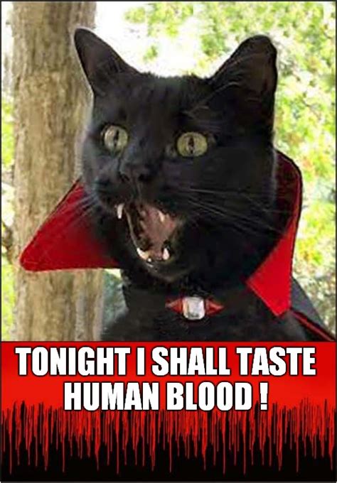 Funny Pic Page 88 Big Board Of Fun Loverslab