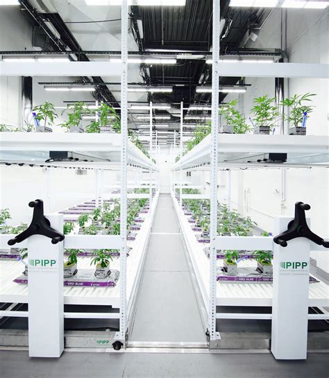 Vertical Grow Racks For Indoor Farming Pipp Horticulture Artofit