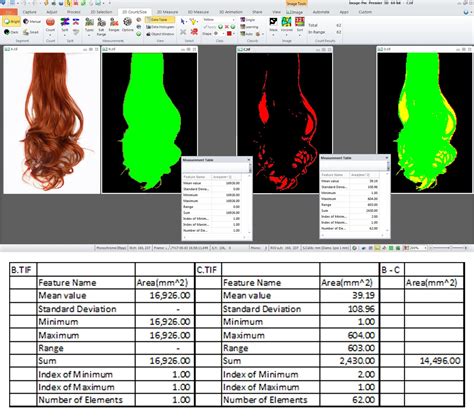 How Do I Turn A Segmentation Into A Measurement Object — Media