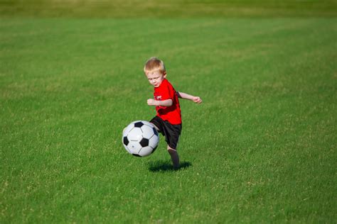 Sundancer Buffalograss Johnston Seed Company